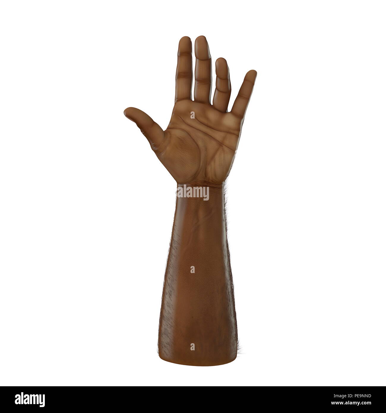african man hand on a white. 3D illustration Stock Photo - Alamy