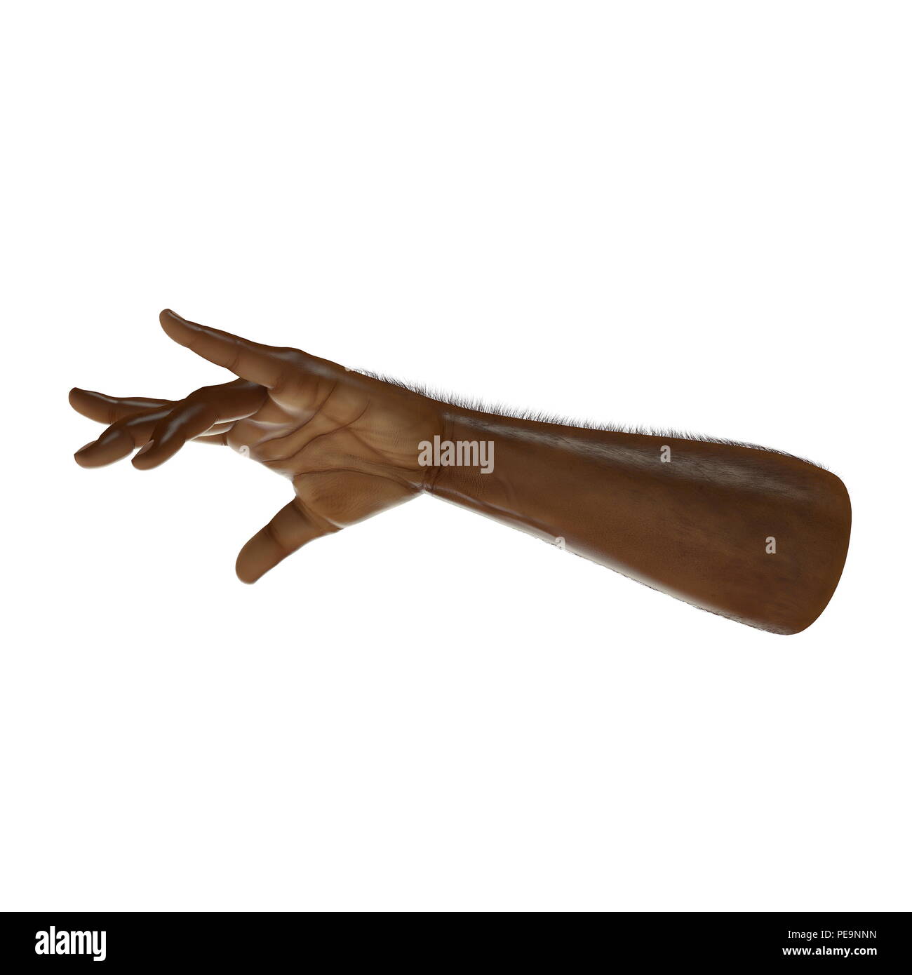 african man hand on a white. 3D illustration Stock Photo - Alamy