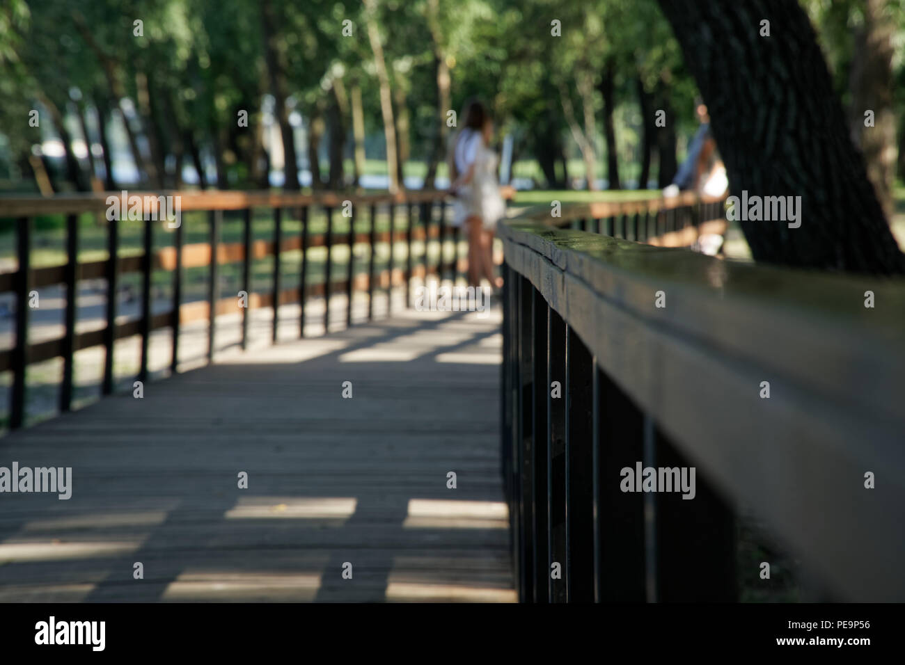 Wooden handrail in Public park with lawn bench and green tree, place ...