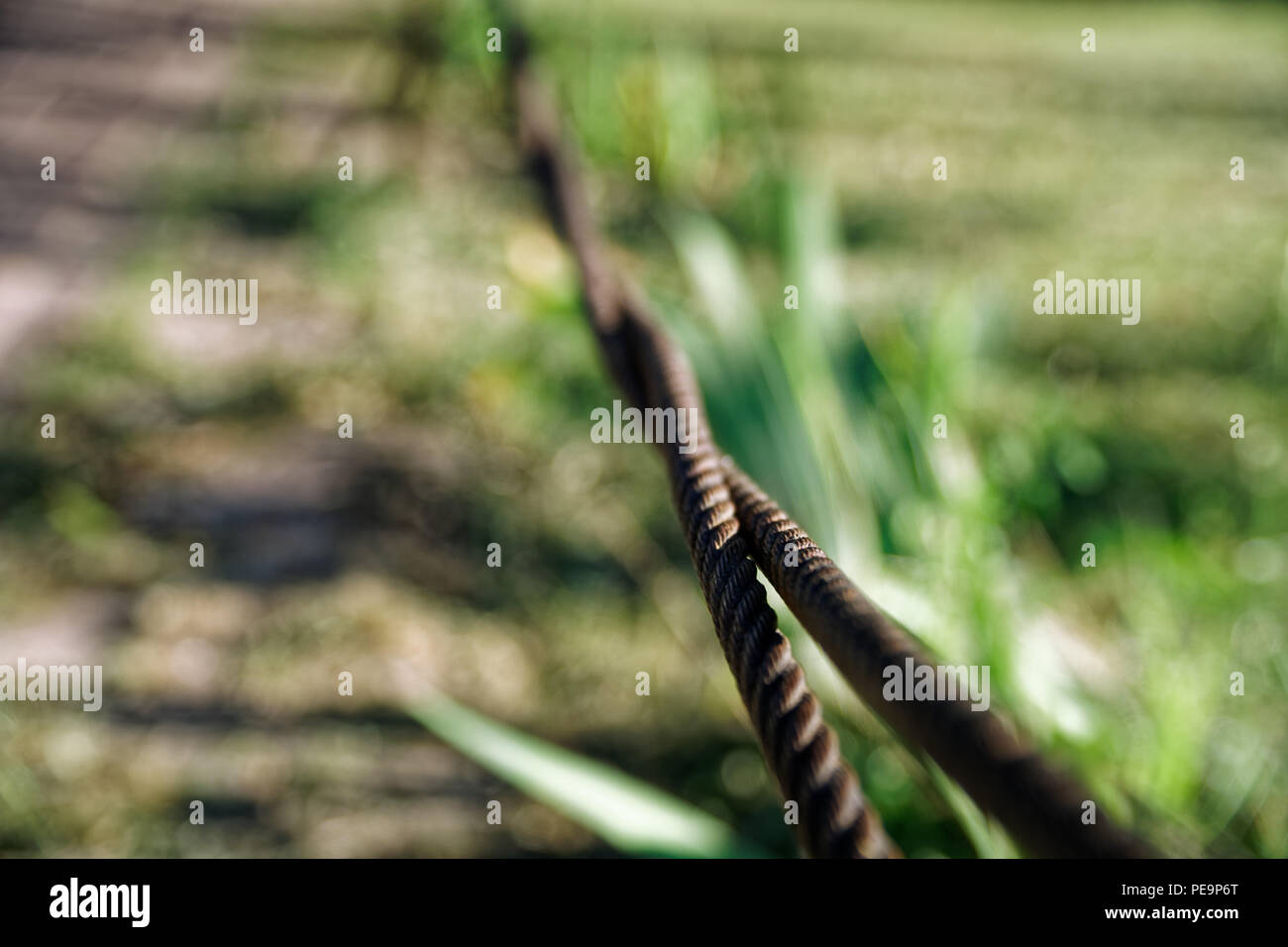 Thick steel rope close up. Bridge fence element. Detailed view. The ...