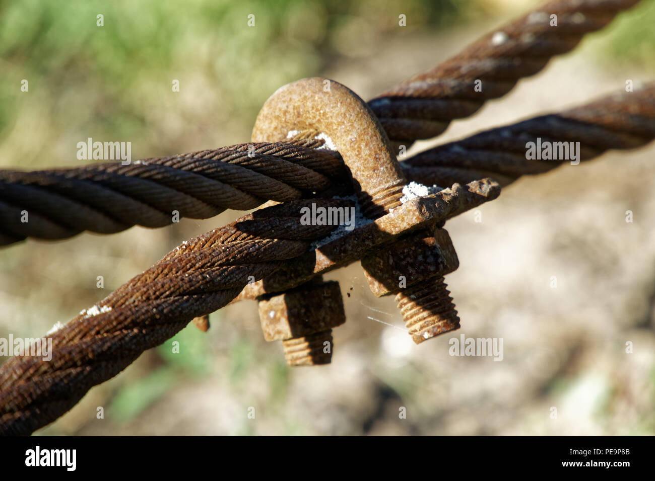 Thick steel rope close up. Bridge fence element. Detailed view. The ...