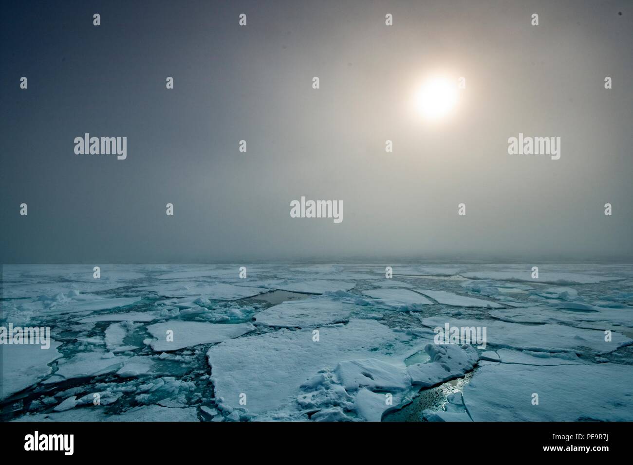 breaking through the sea ice, with the sun behind the fog, Deep blues ...