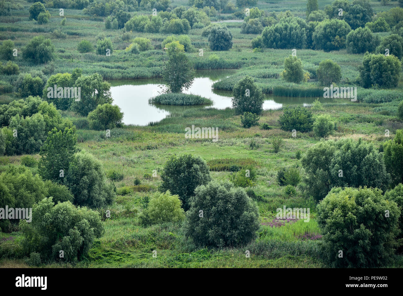 Aerial view of the Vacaresti Nature Park in Bucharest Stock Photo - Alamy
