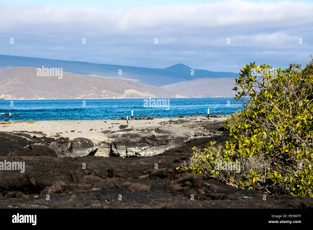 Coastal landscape in the Galapagos Islands Stock Photo - Alamy