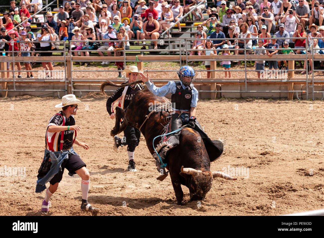 Professional Rodeo Stock Photos & Professional Rodeo Stock Images - Alamy