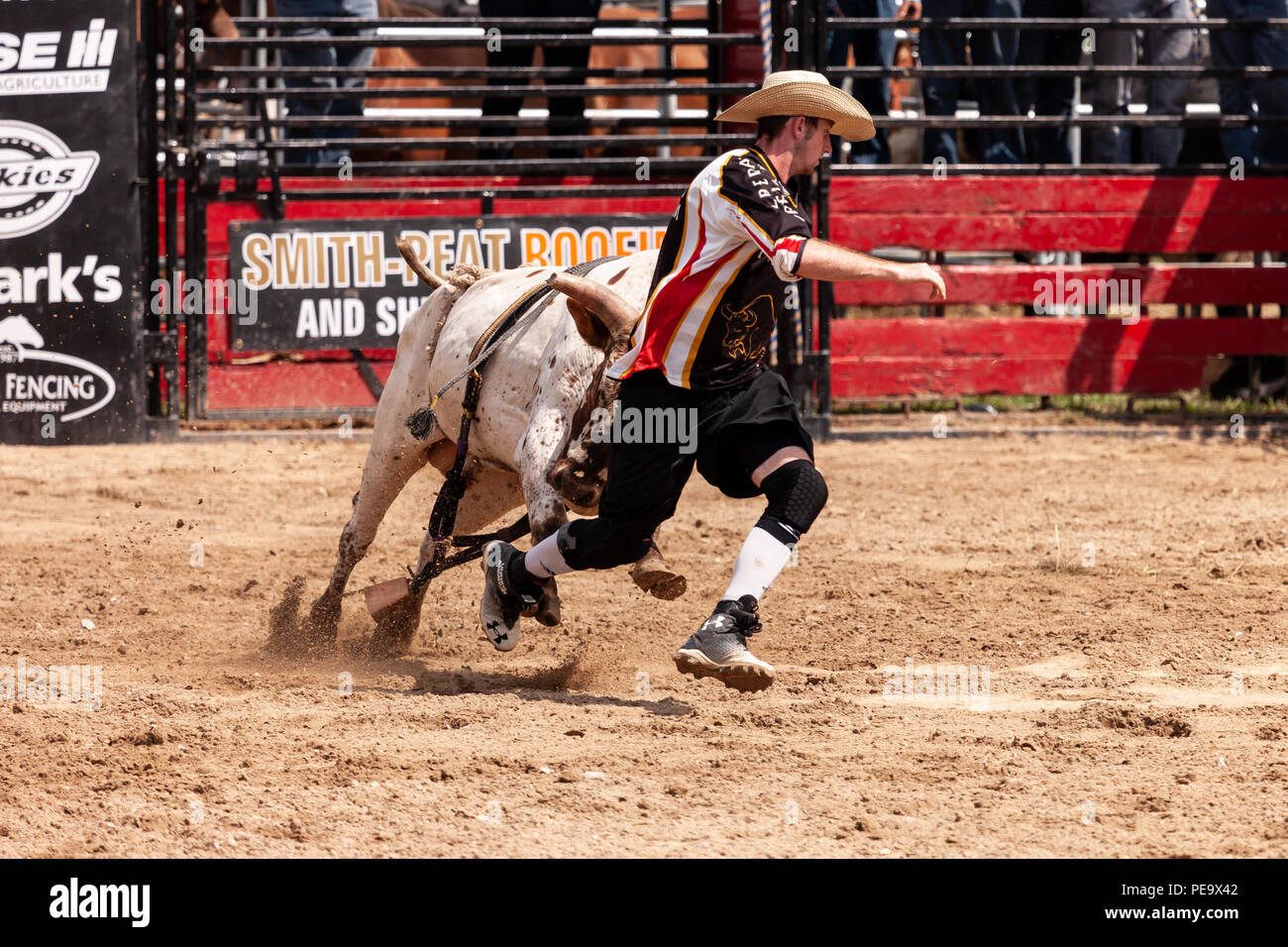 Rodeo clown and bull rider hi-res stock photography and images - Alamy