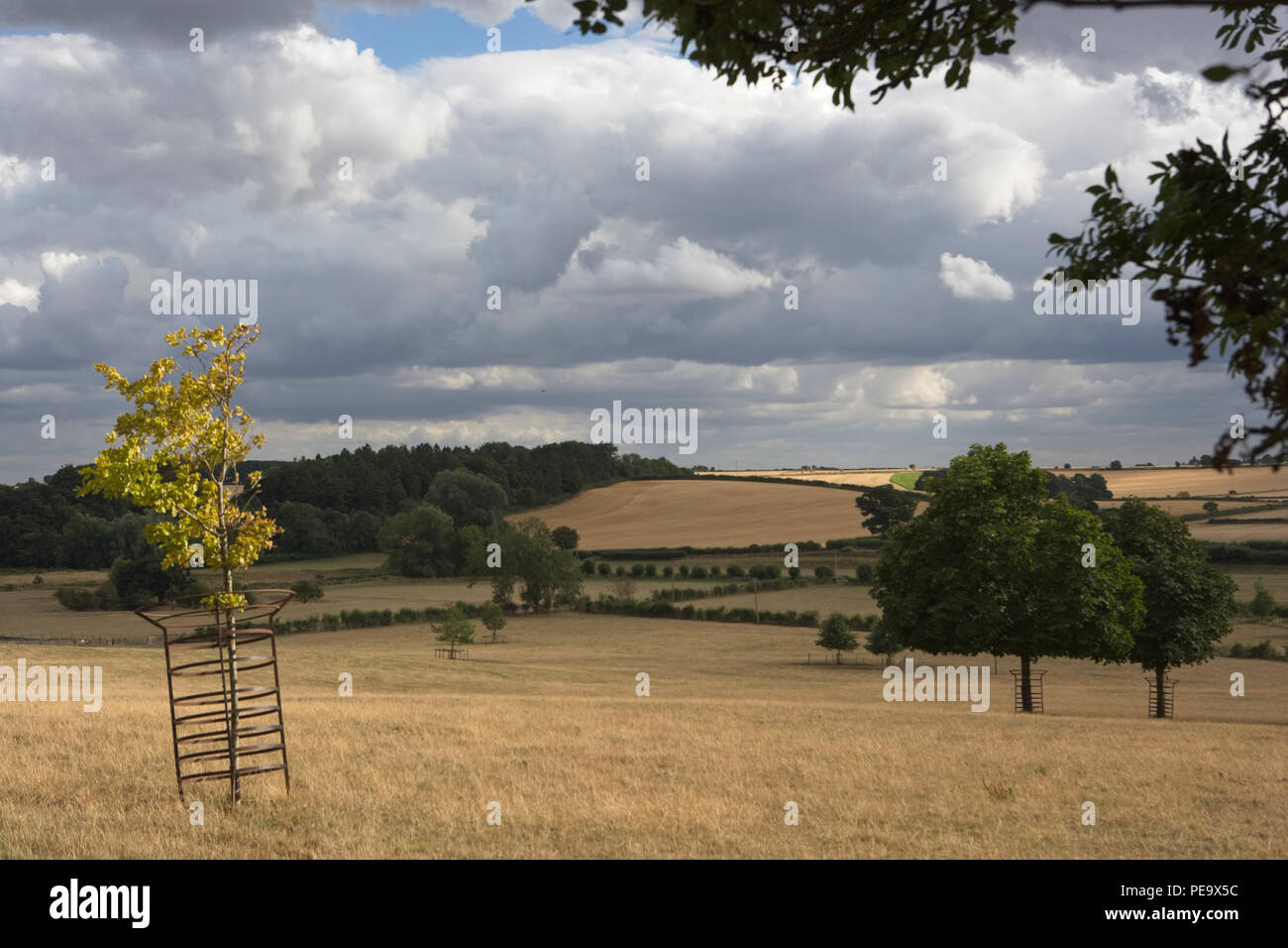 Dry grasslands in southern England during a drought resemble the ...