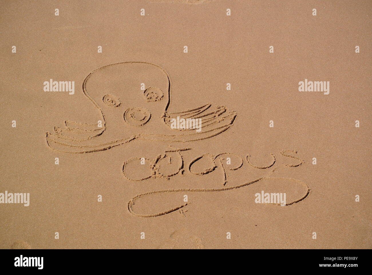 Octopus word hi-res stock photography and images - Alamy