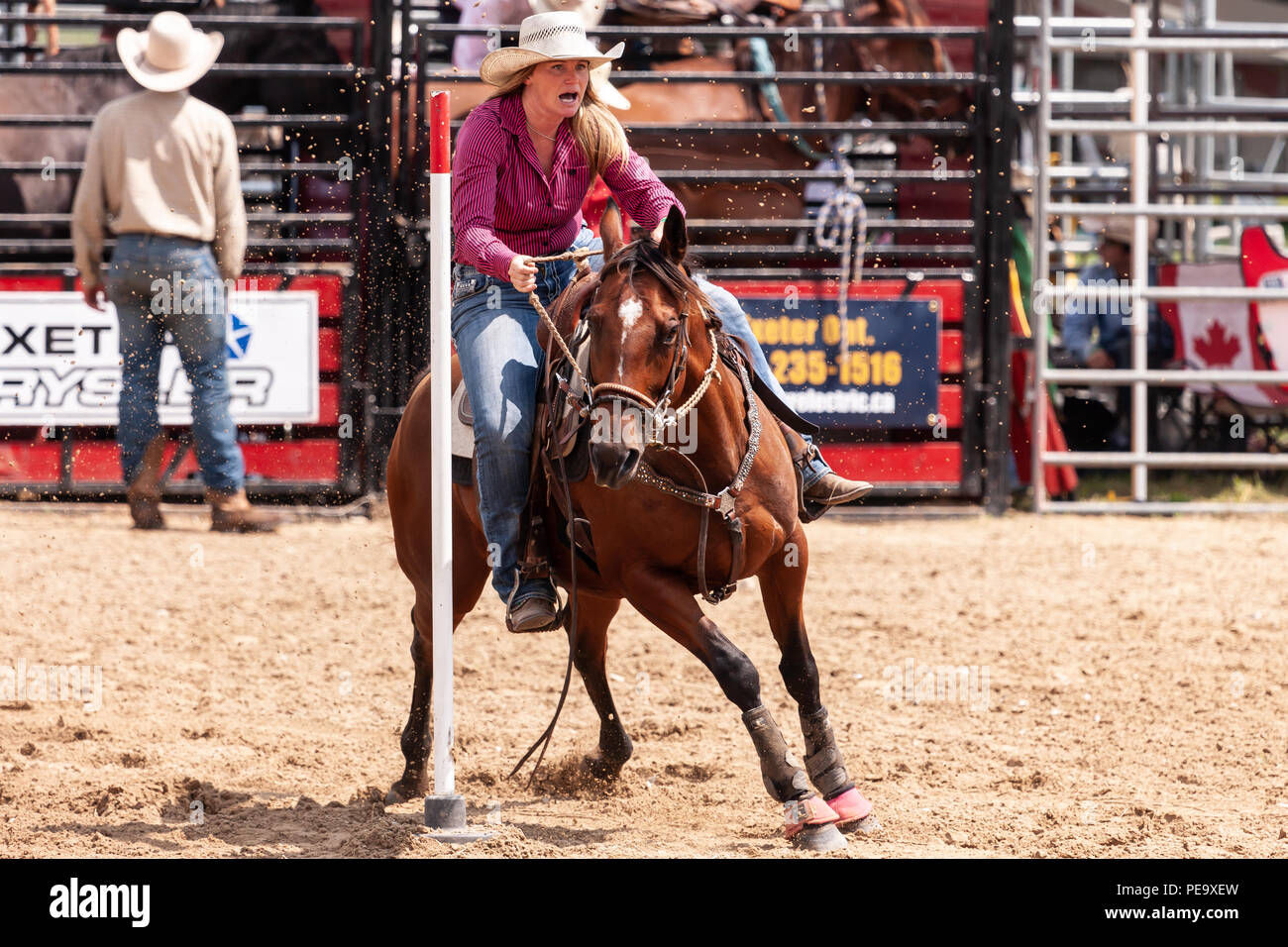 Professional tour guide hi-res stock photography and images - Alamy