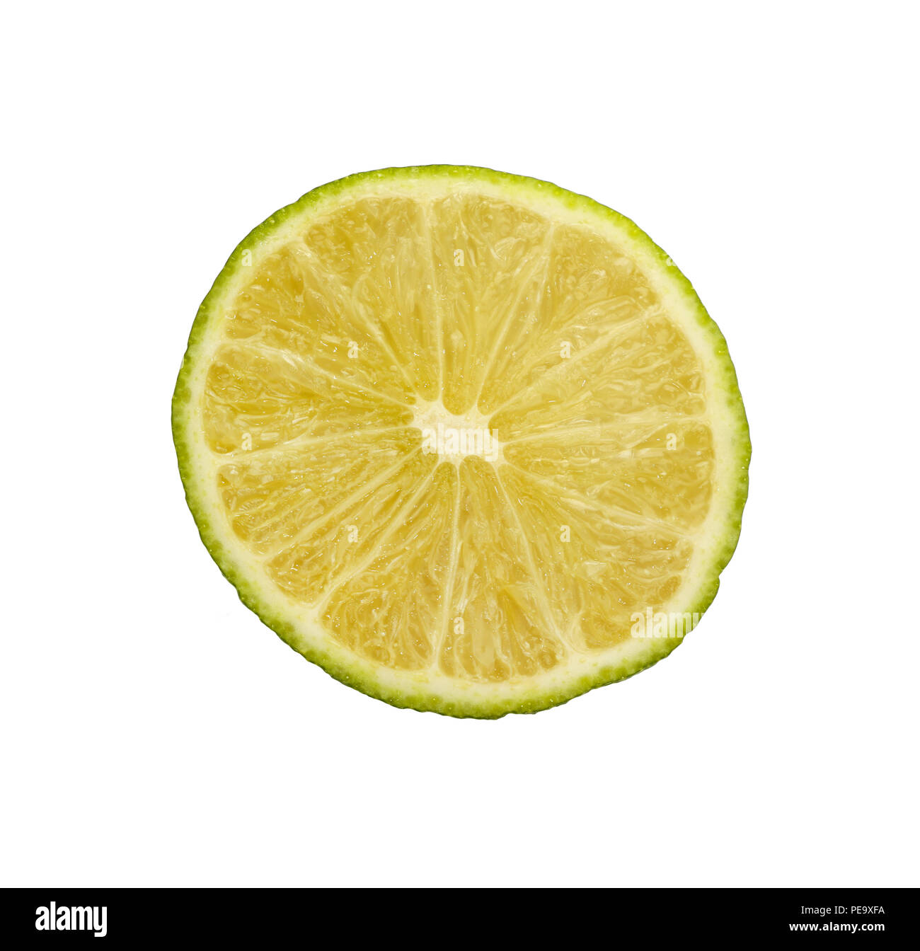 Close up one round thin cut slice of fresh green lime fruit, backlit ...
