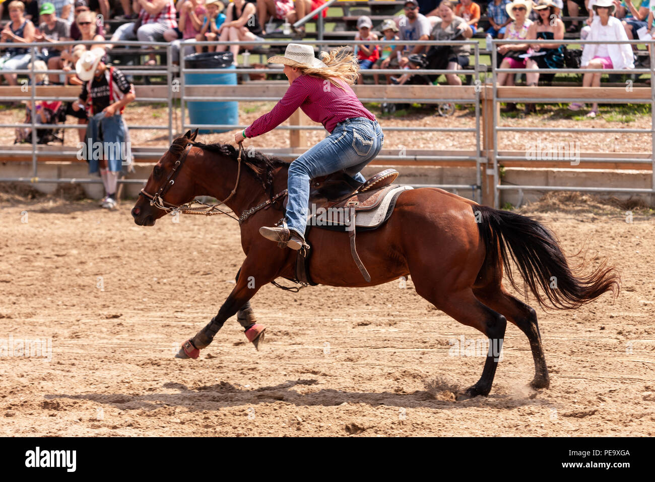 Cowgirls guide their quarterhorses through the Pole Bending course ...