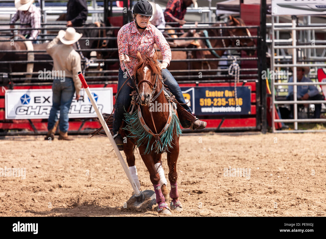 Cowgirls guide their quarterhorses through the Pole Bending course ...