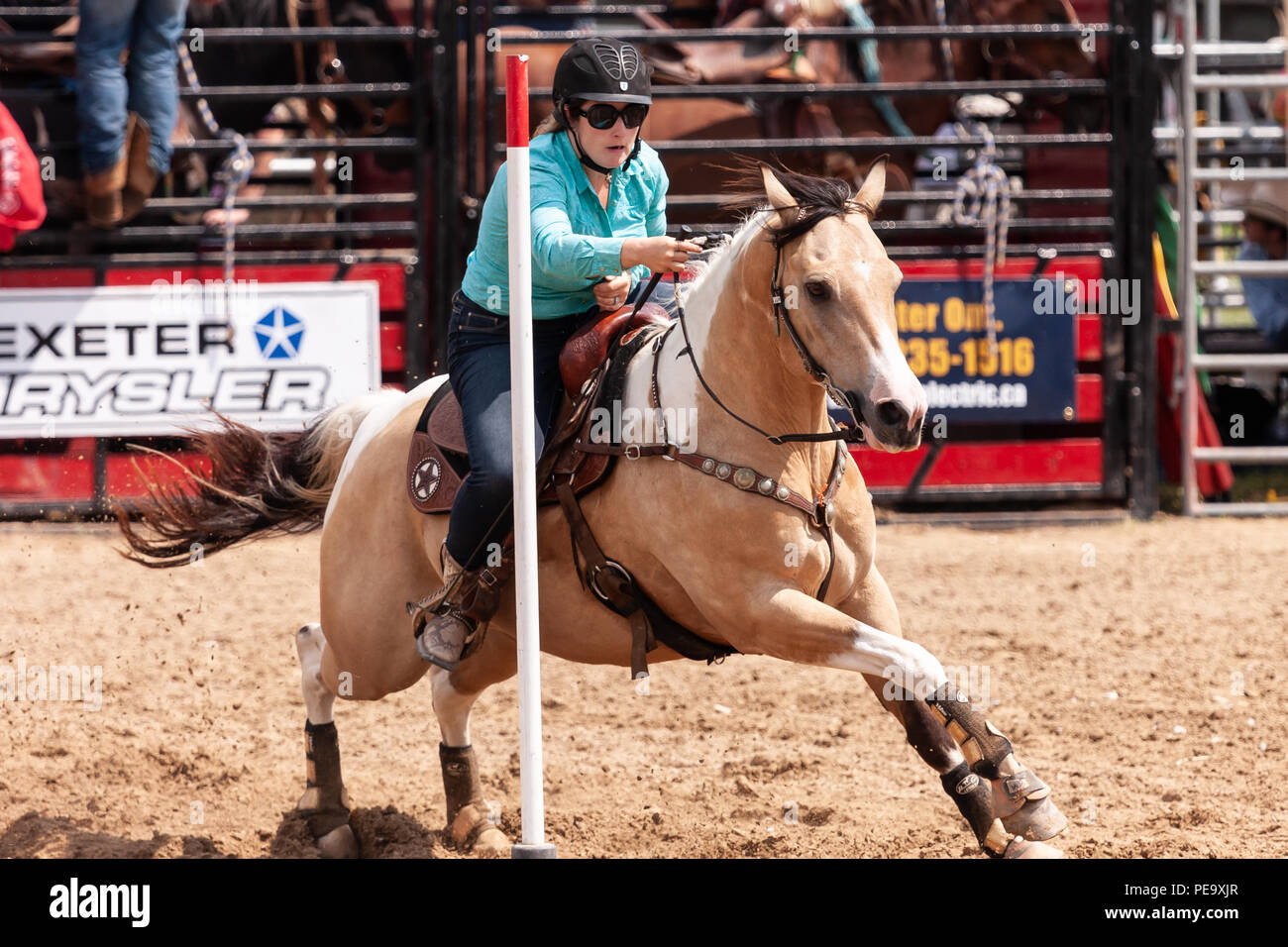 Cowgirls guide their quarterhorses through the Pole Bending course ...