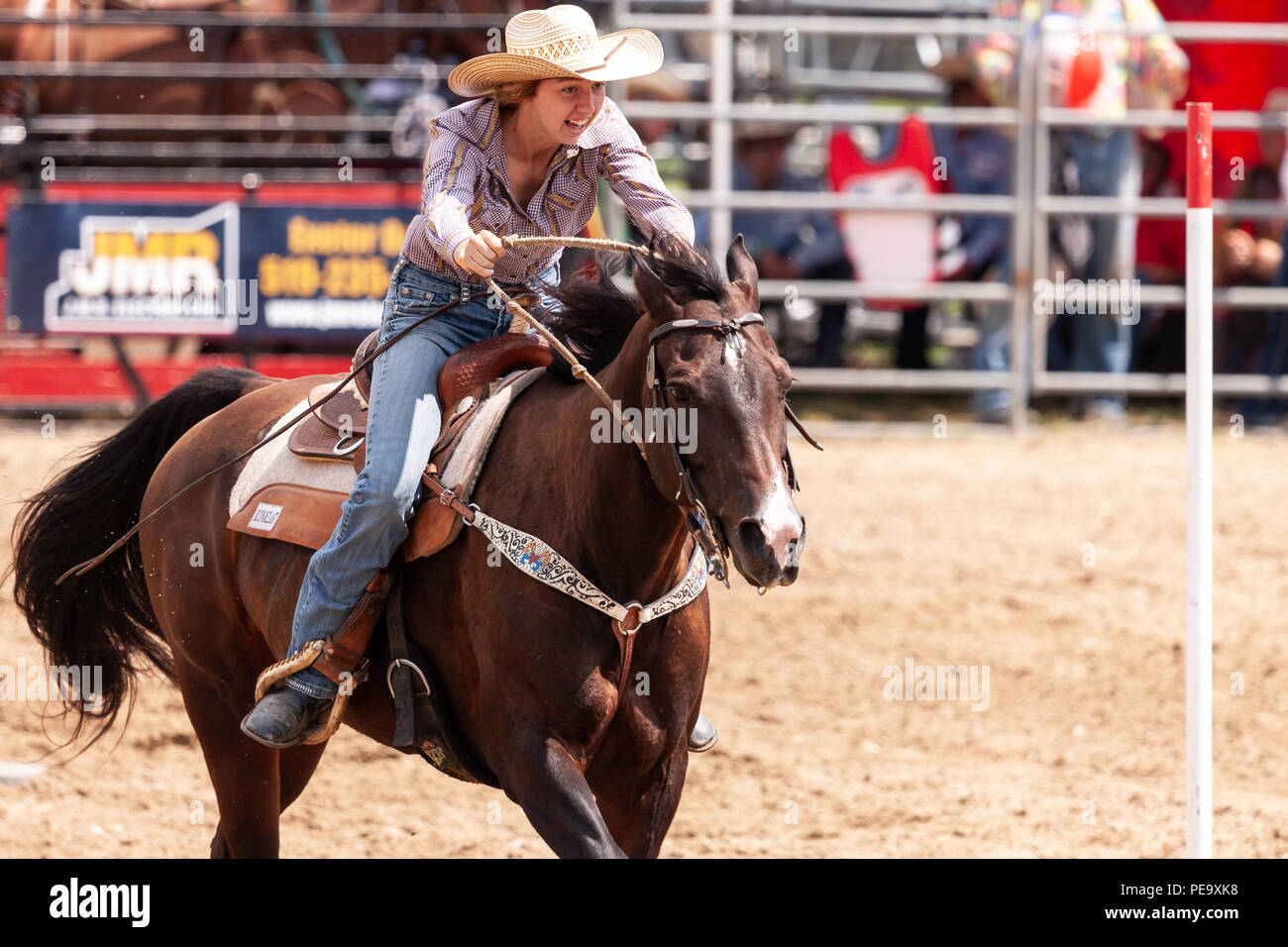 Cowgirls guide their quarterhorses through the Pole Bending course ...