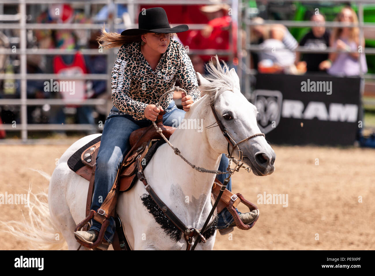 Cowgirls guide their quarterhorses through the Pole Bending course ...
