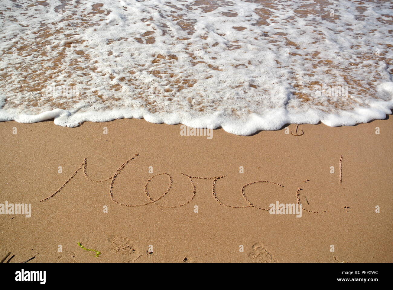 A beautiful gratitude message "merci" handwritten in a cursive style on ...