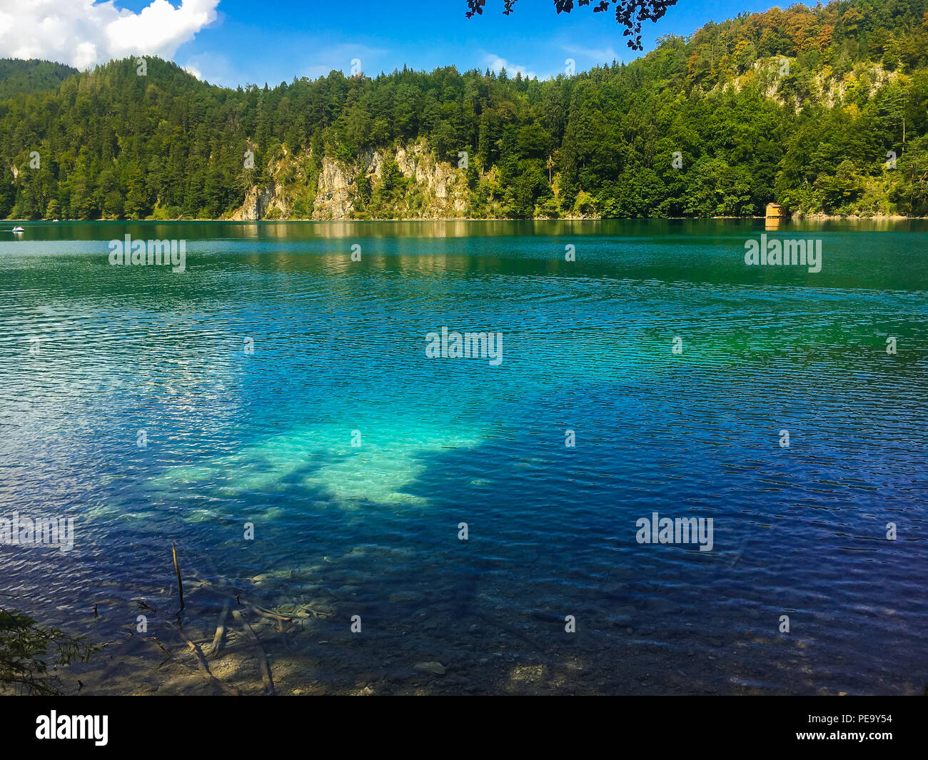 Fantastic turquoise water in the Alpsee lake, Germany Stock Photo - Alamy