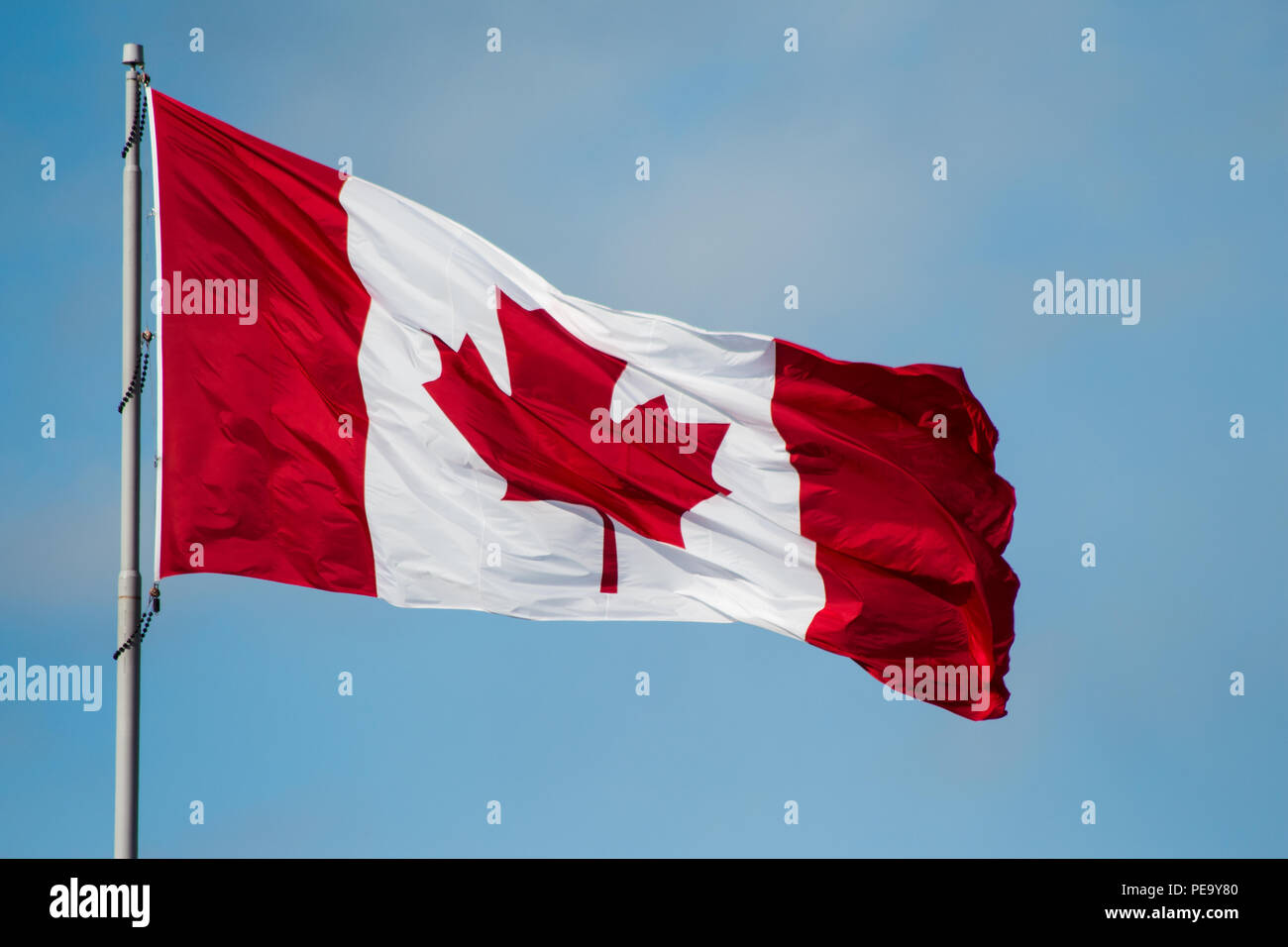 Red canada maple flag blowing in the wind Stock Photo - Alamy