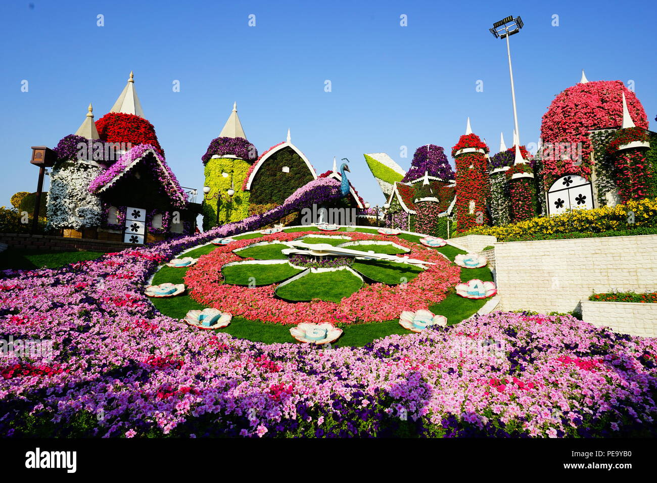 Miracle garden hi-res stock photography and images - Alamy