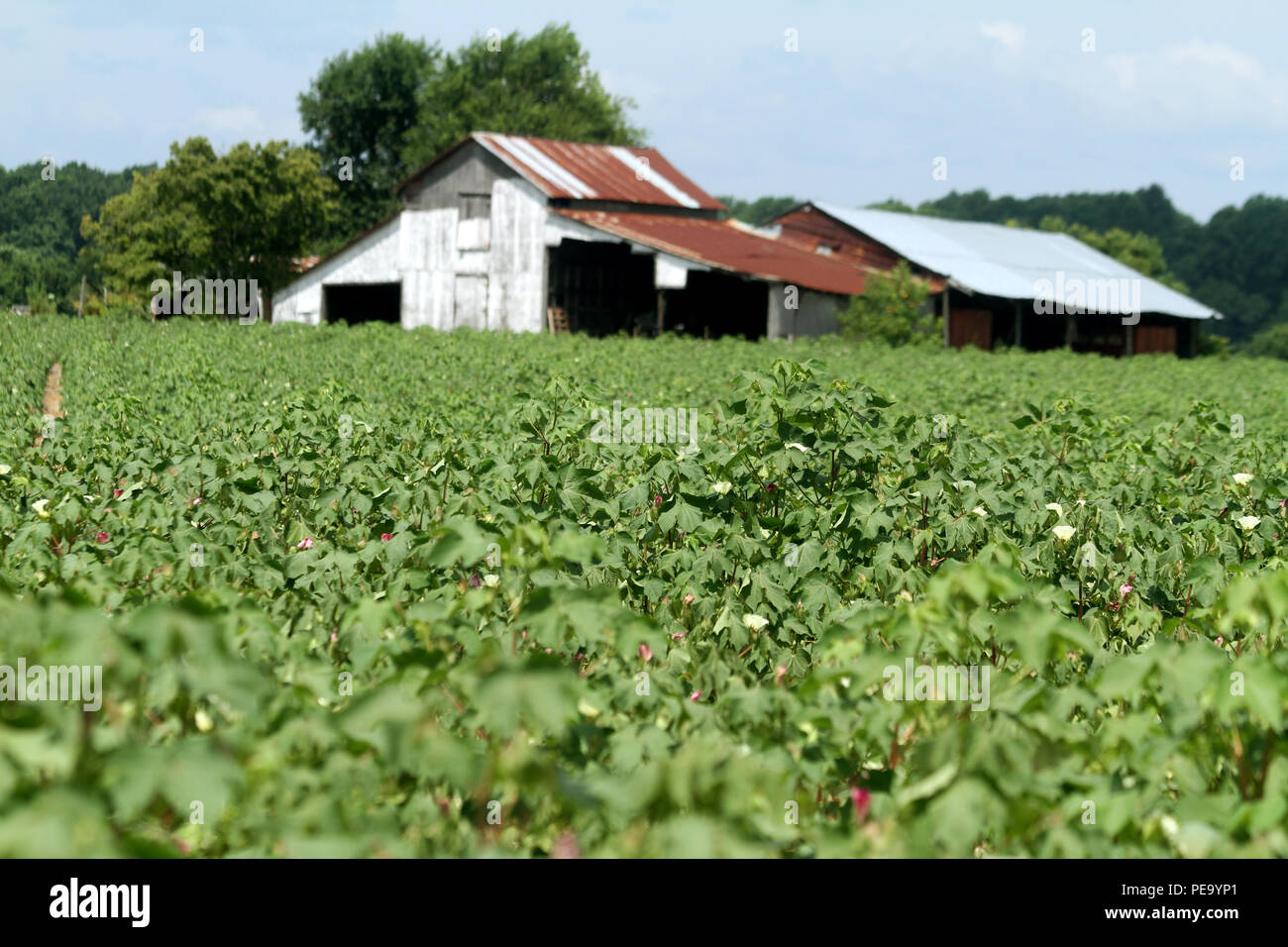 Rural farm 17th century hi-res stock photography and images - Alamy