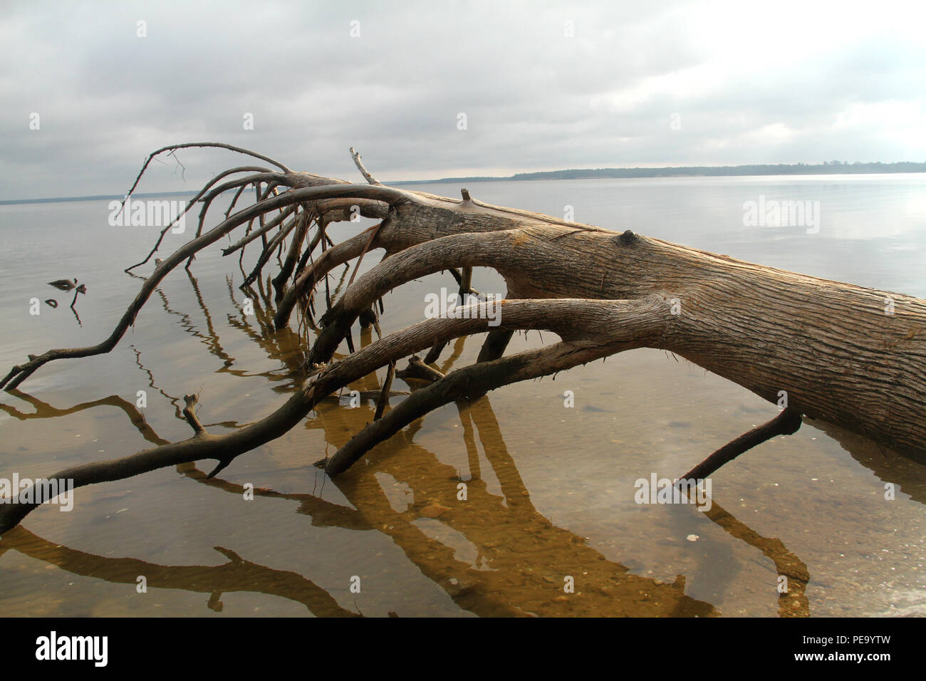 Dead river plantation hi-res stock photography and images - Alamy