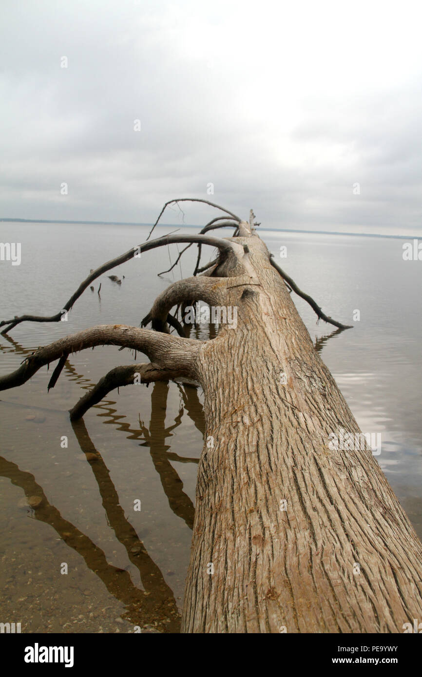 Dead river plantation hi-res stock photography and images - Alamy
