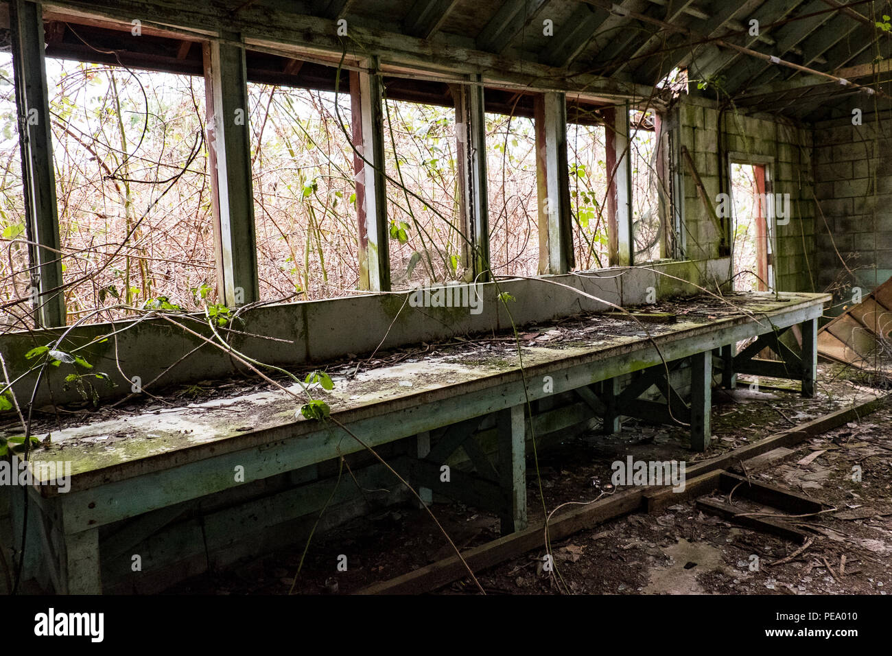 lost and forgotten Stock Photo - Alamy