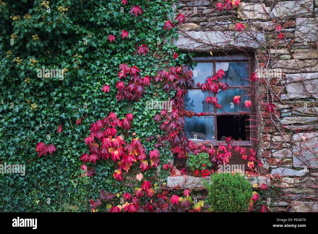 beautiful autumn colors in Ireland Stock Photo - Alamy