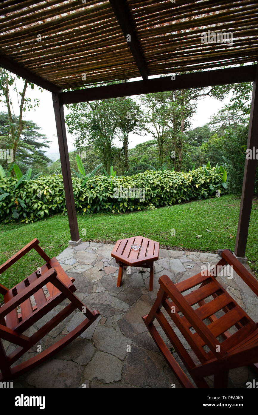 relaxing in the rainforest Stock Photo - Alamy