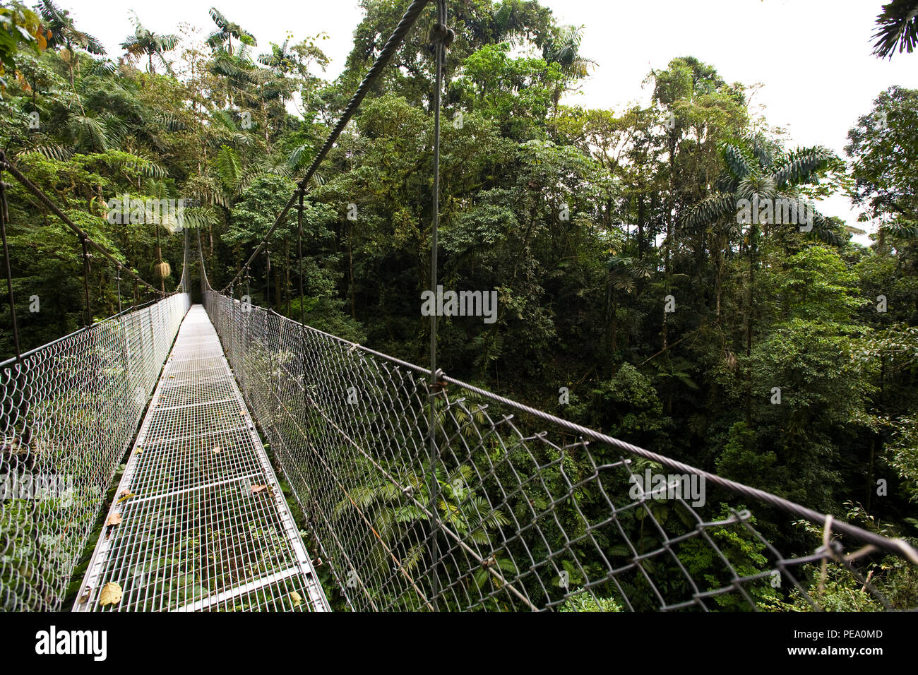 Hang bridges hi-res stock photography and images - Alamy