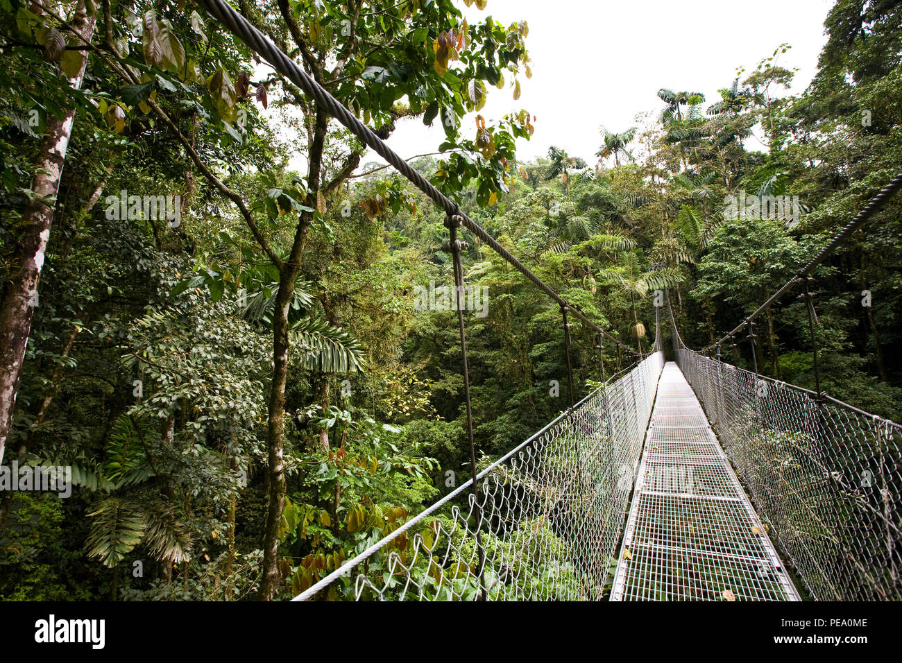 Suspended bridge costa rica hi-res stock photography and images - Alamy