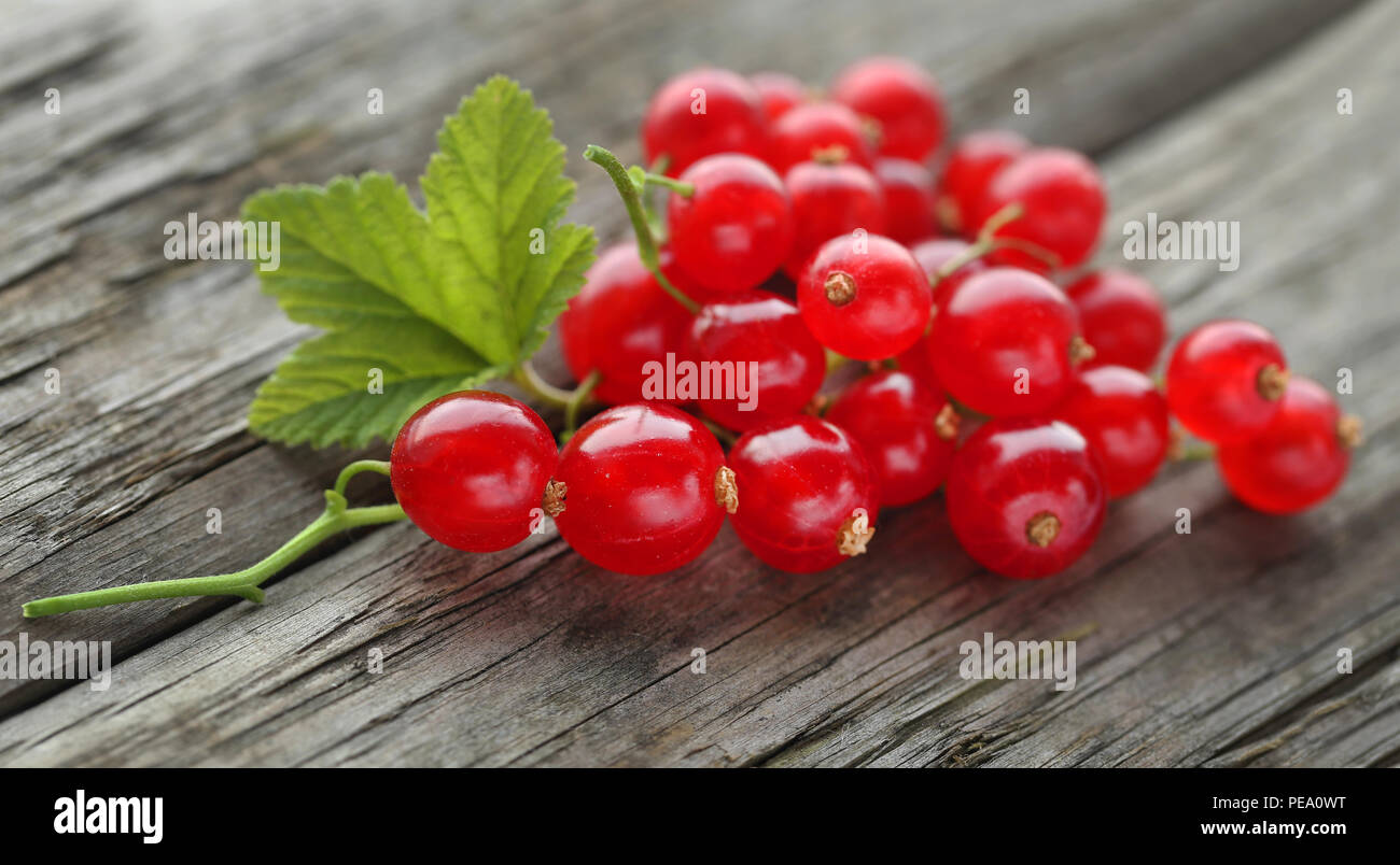 Redcurrent High Resolution Stock Photography and Images - Alamy