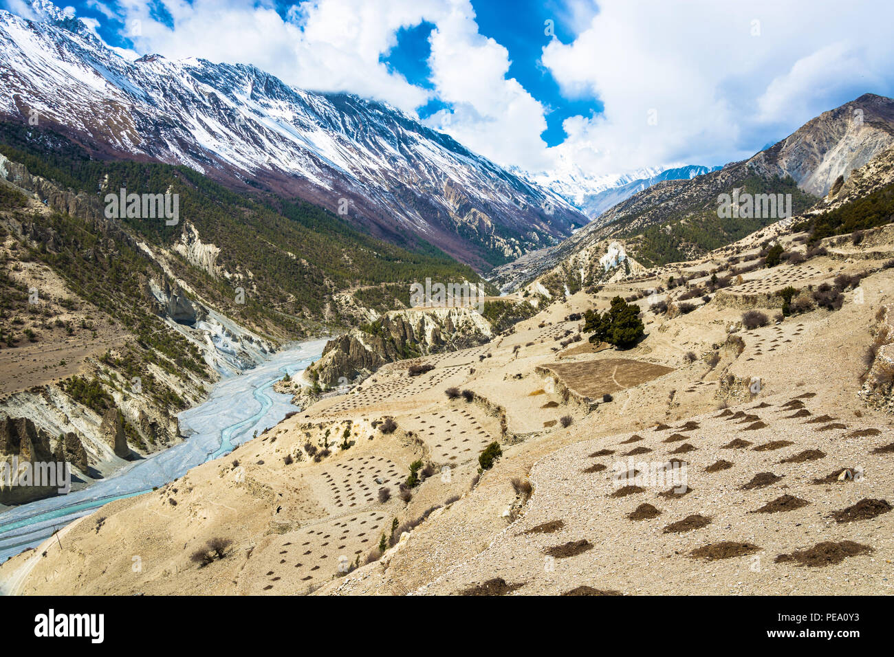 Beautiful mountain landscape with Bagmati river in Himalayas on spring ...