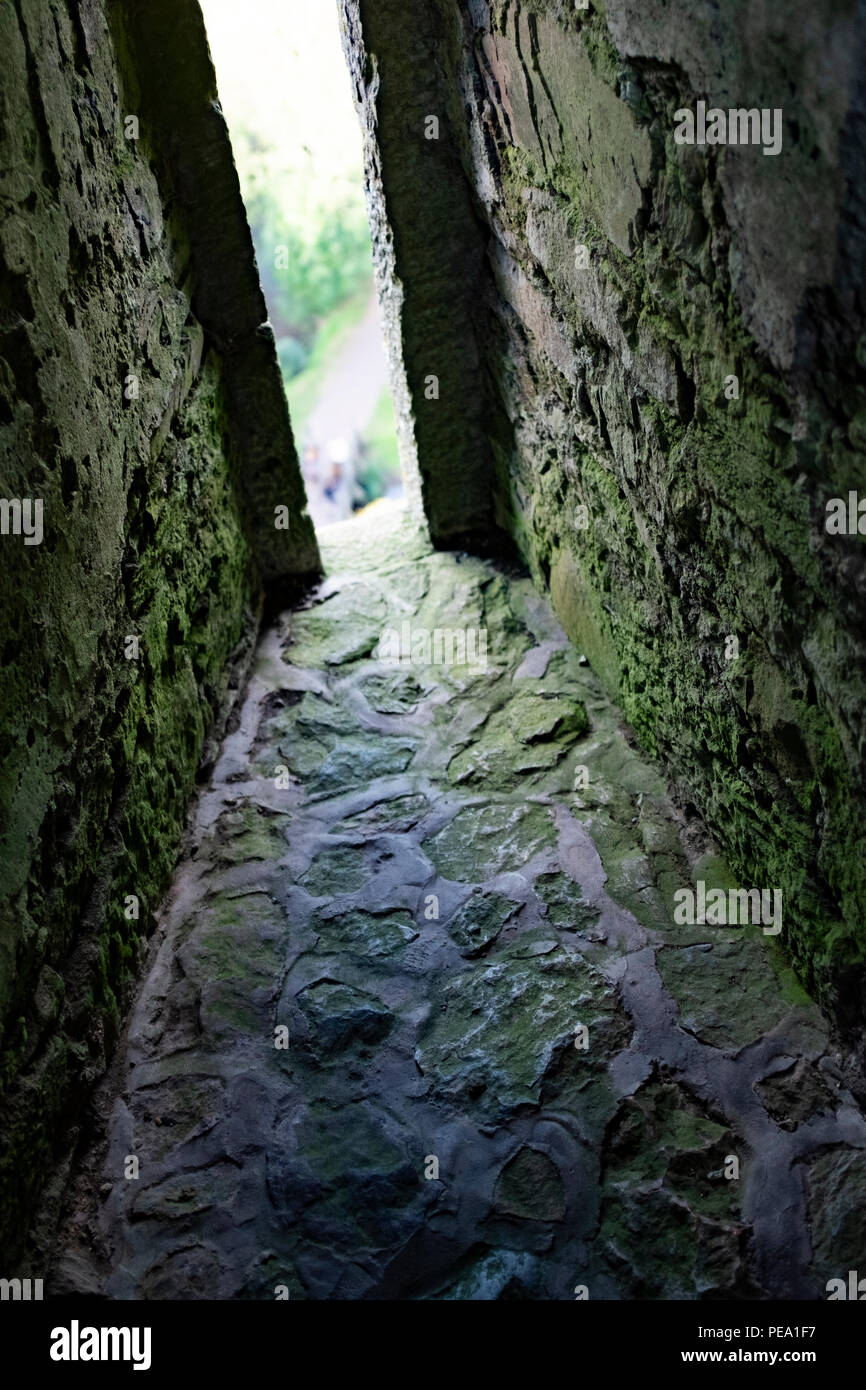 moss and stone on castle walls Stock Photo - Alamy