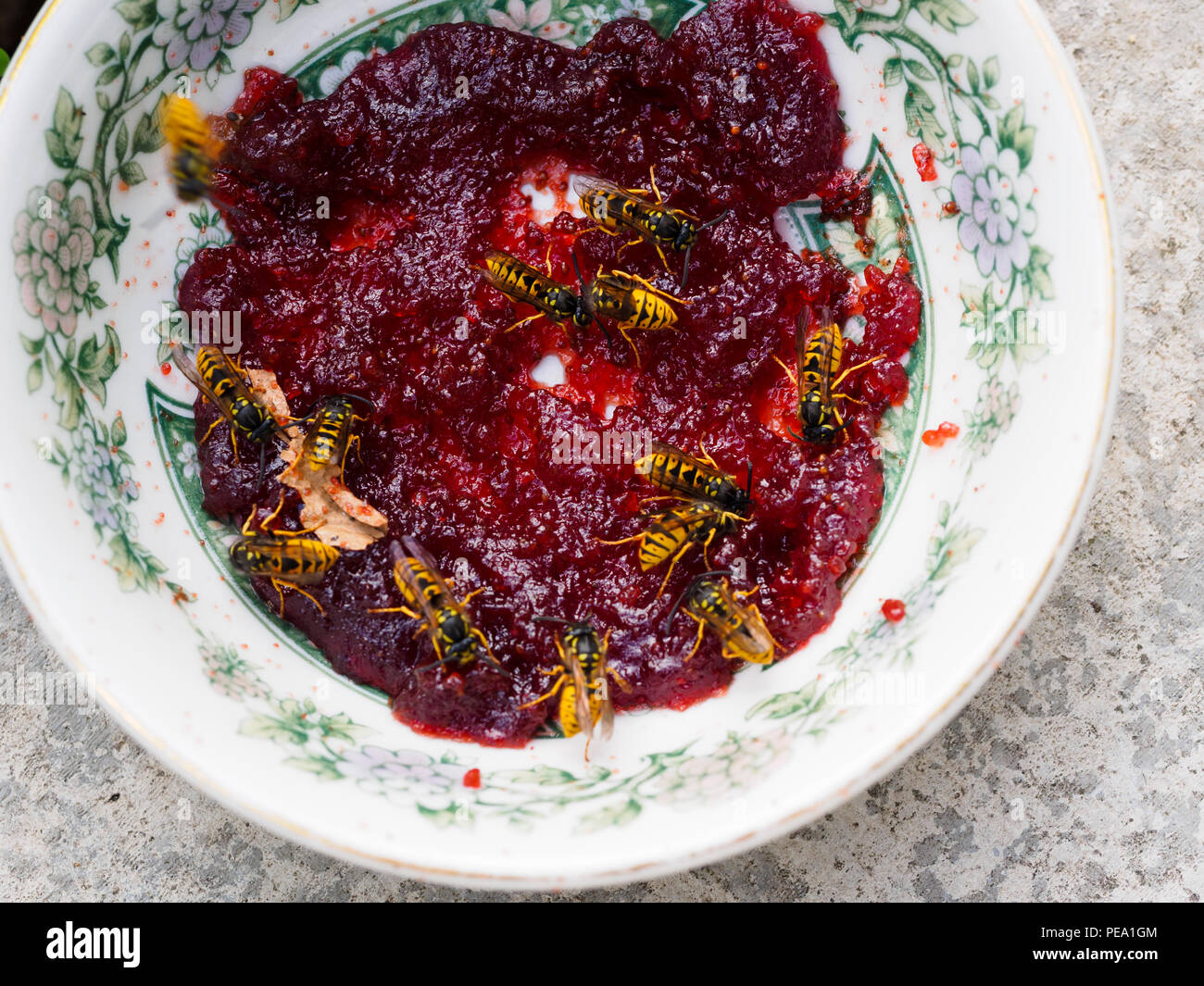 Wasps on jam hi-res stock photography and images - Alamy