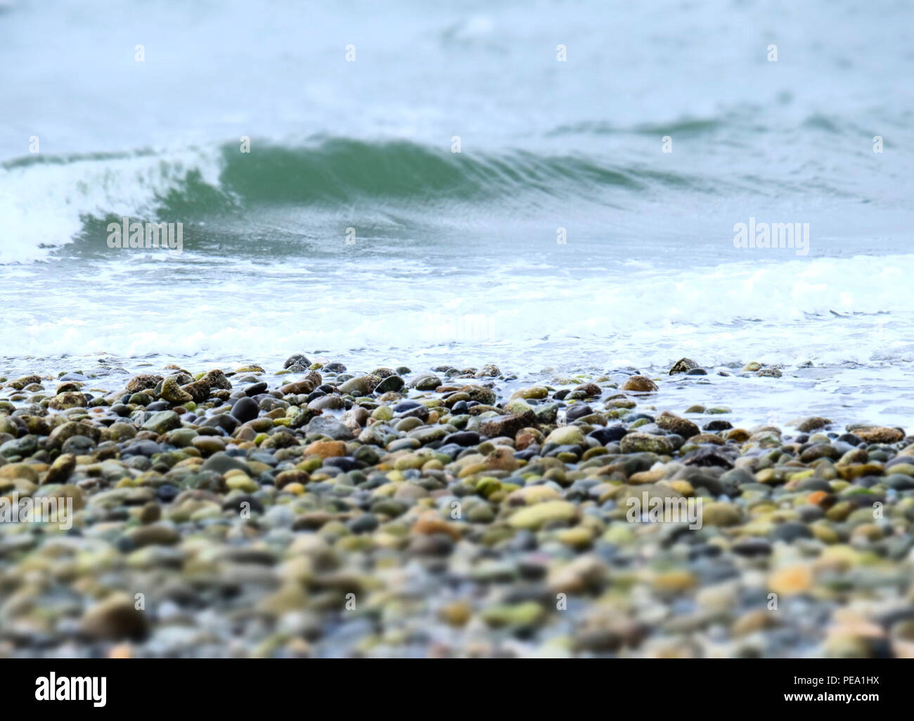 stones and shore Stock Photo - Alamy