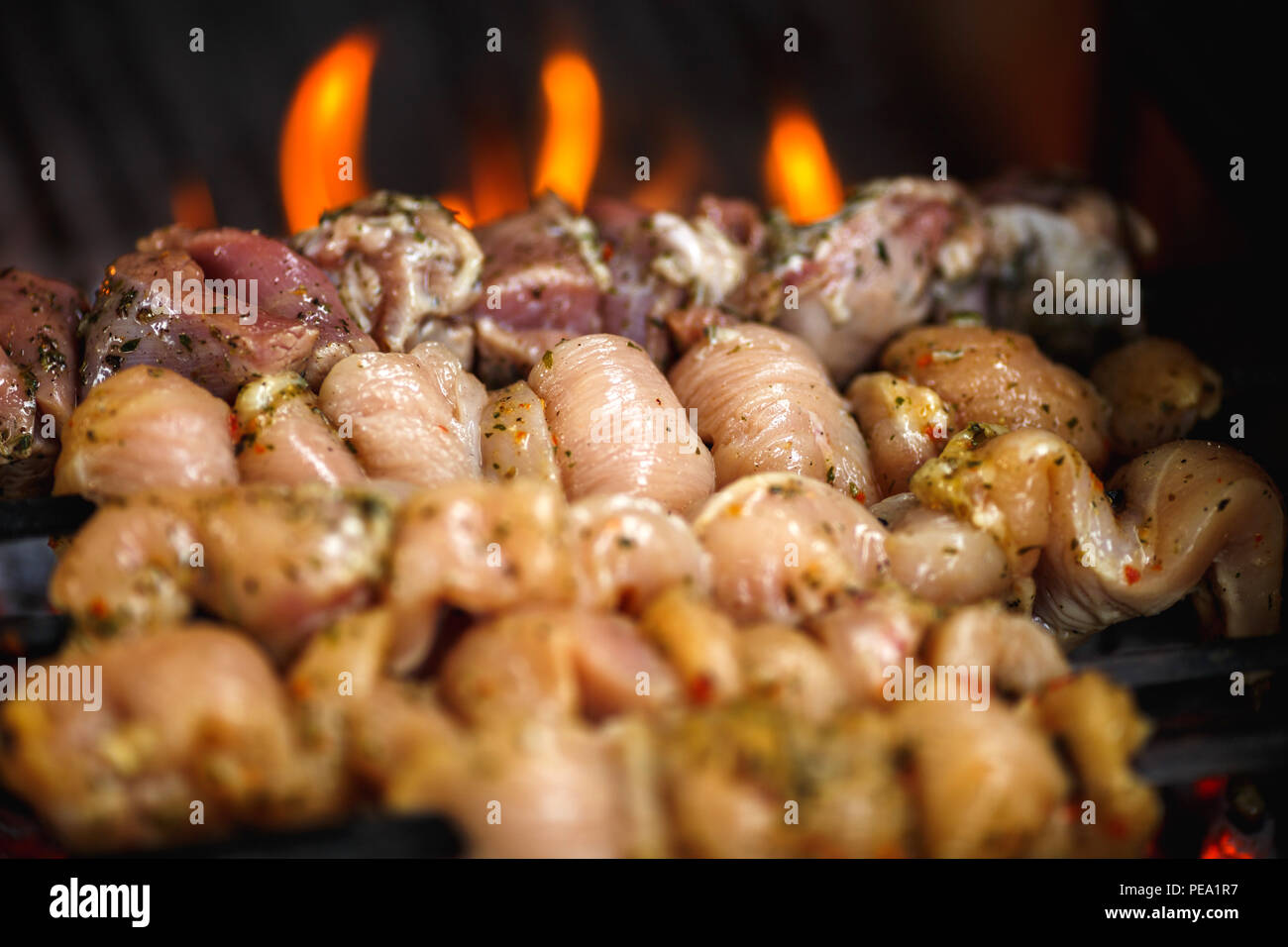 Preparation bbq garden party healthy hi-res stock photography and ...