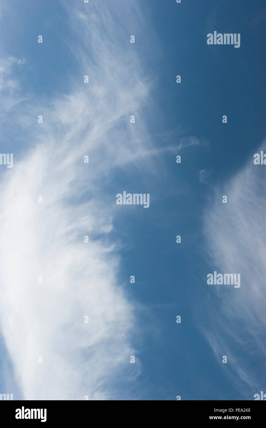 Stratus floccus Clouds in the middle of the day on the sky Stock Photo ...