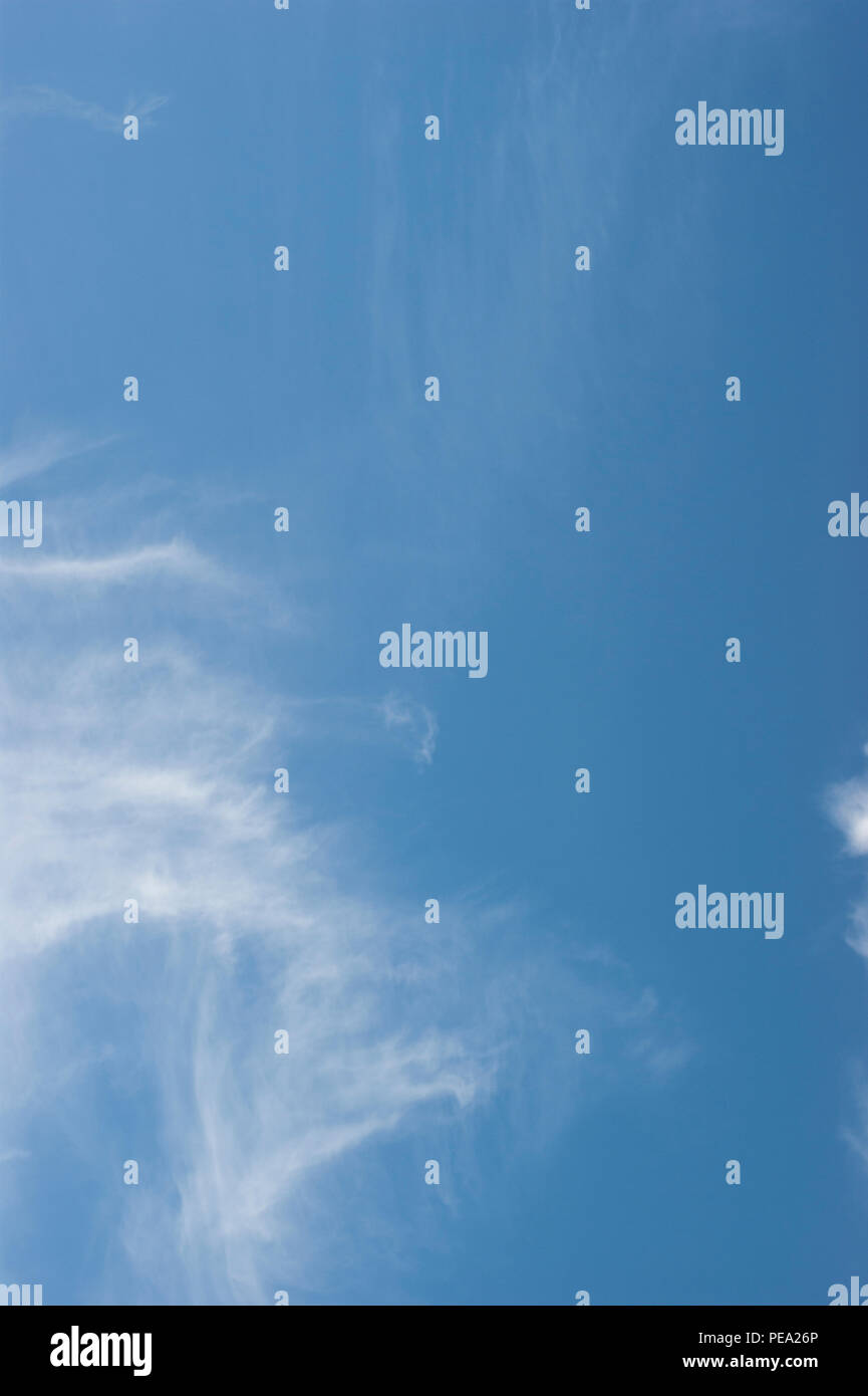 Stratus floccus Clouds in the middle of the day on the sky Stock Photo ...
