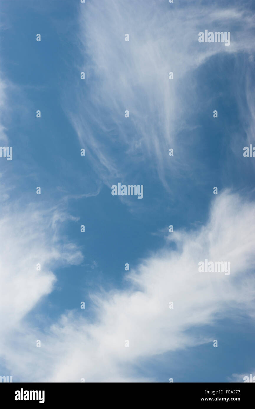 Stratus floccus Clouds in the middle of the day on the sky Stock Photo ...