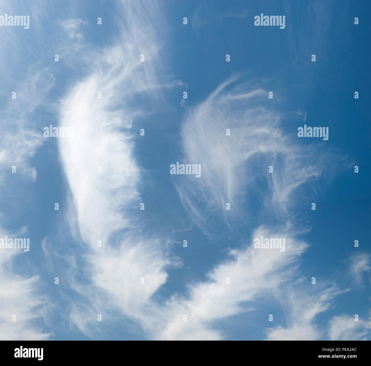 Stratus floccus Clouds in the middle of the day on the sky Stock Photo ...