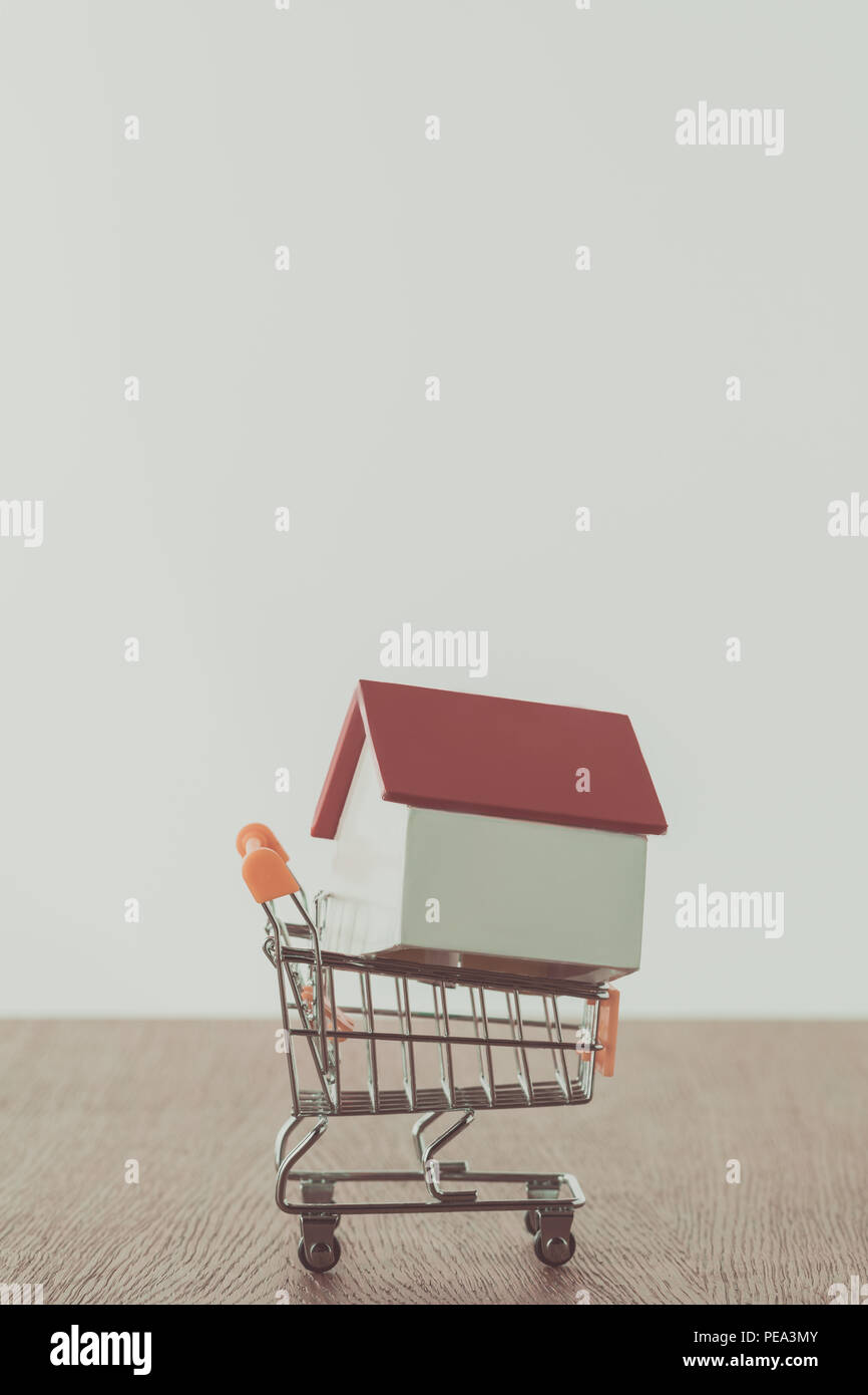 small wooden house on supermarket cart, saving concept Stock Photo - Alamy