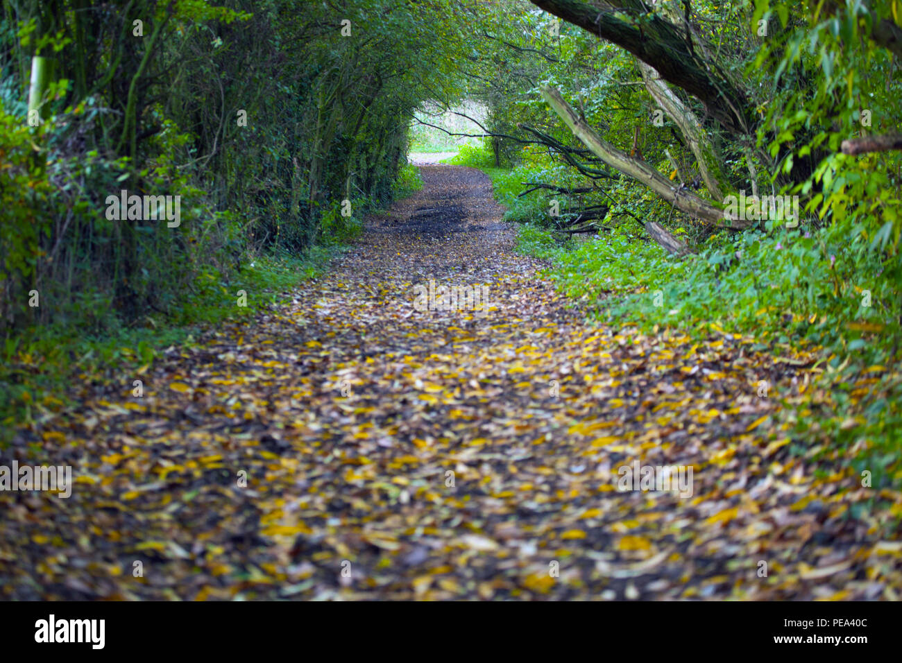 Footpaths around leeds hi-res stock photography and images - Alamy