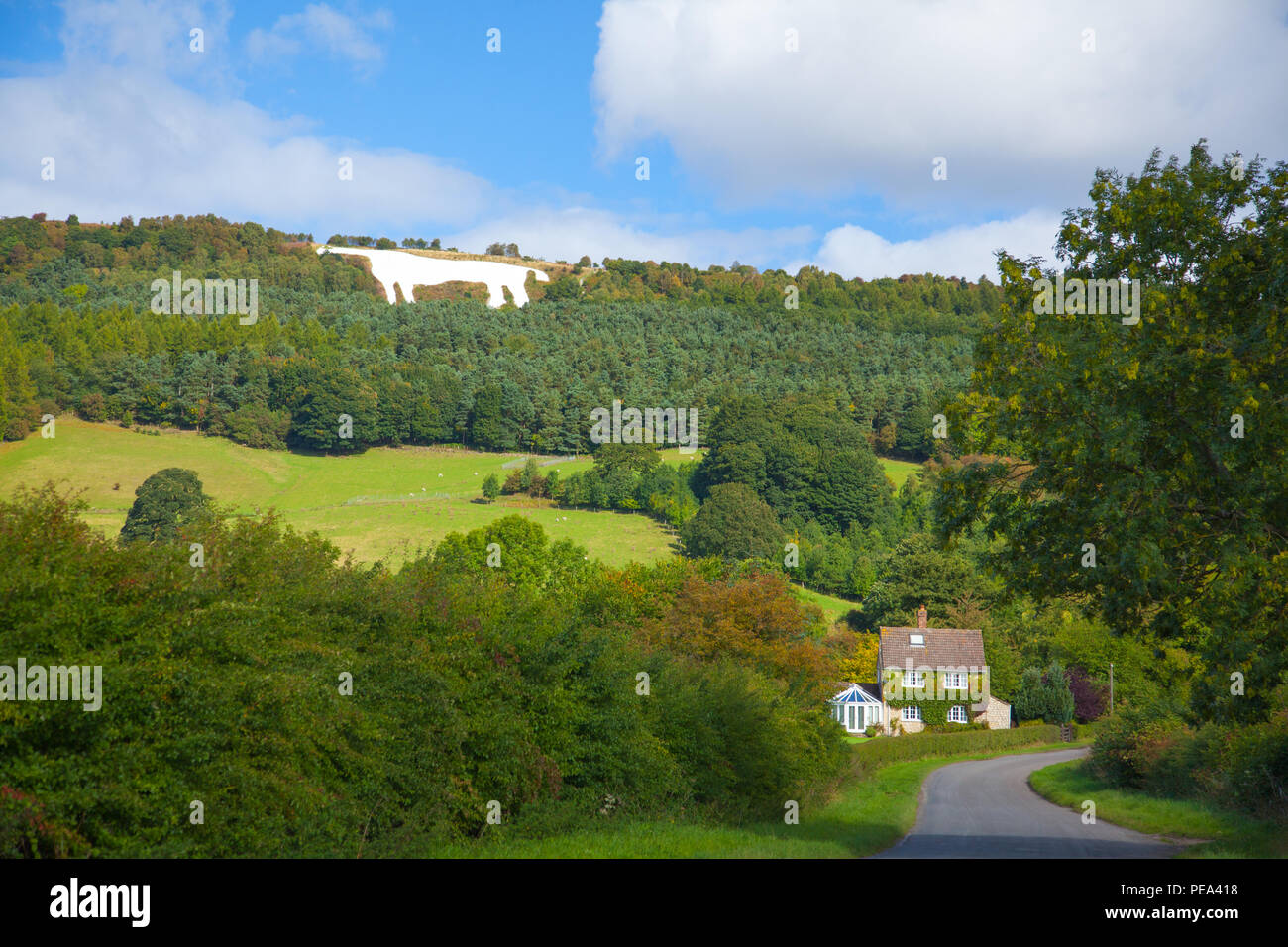 White horse sutton bank hi-res stock photography and images - Alamy