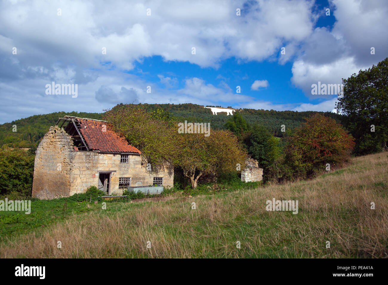 White horse sutton bank hi-res stock photography and images - Alamy
