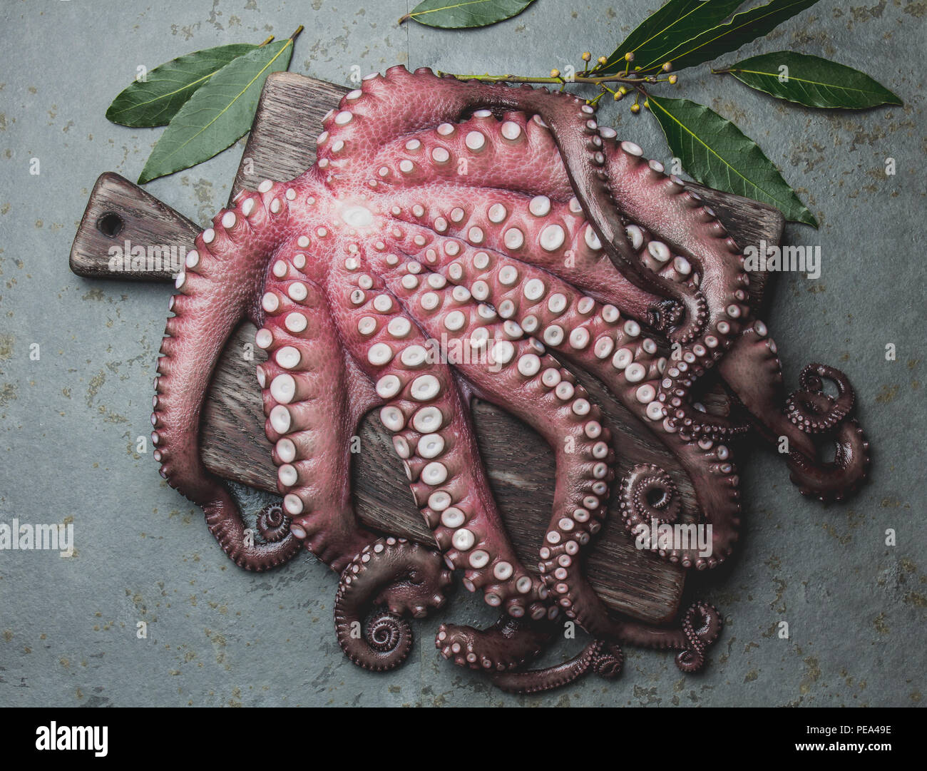 Alternatives to animal protein hi-res stock photography and images - Alamy