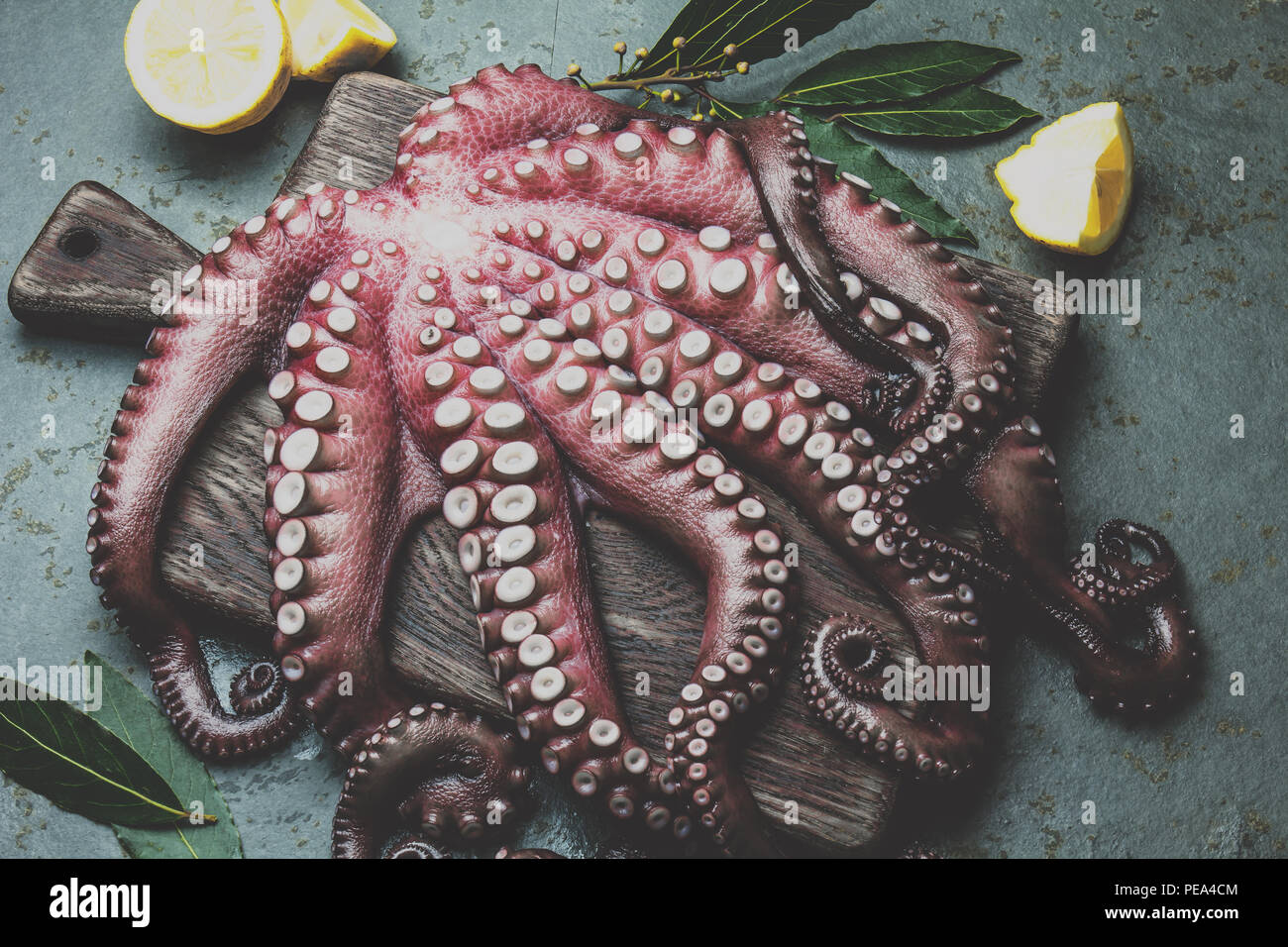 Whole octopus hi-res stock photography and images - Alamy