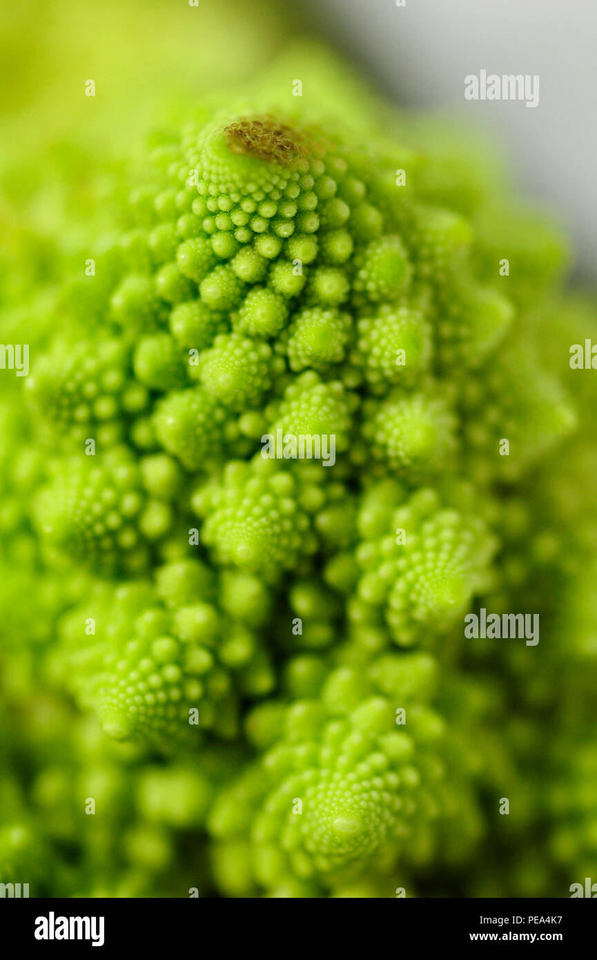 Romanesco superficially resembles a cauliflower, but it is chartreuse ...