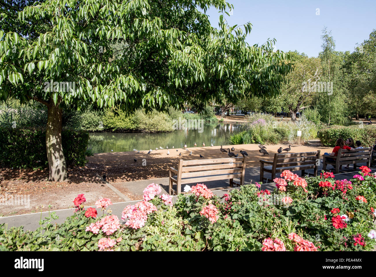 Barnes pond hi-res stock photography and images - Alamy