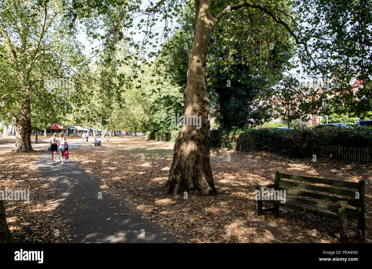 Barnes pond hi-res stock photography and images - Alamy